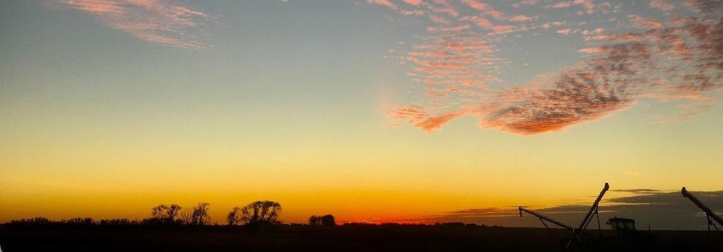 Home - Unity Public School